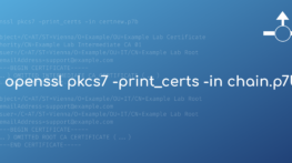 Managing Firepower processes with pmtool - Dependency Hell